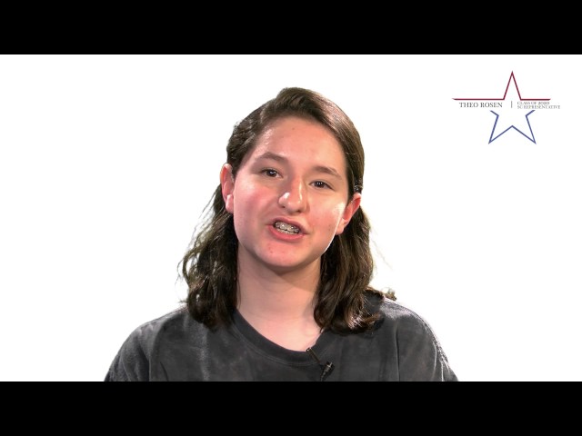 2017 AHS Election Profiles: Theo Rosen - Class of 2020 Representative ...