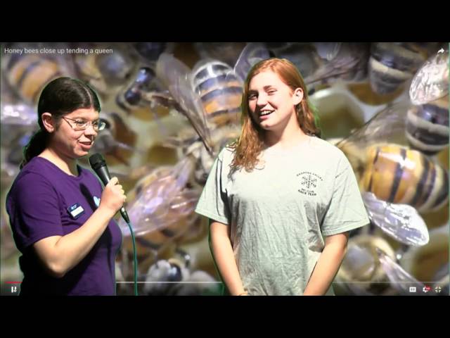 Green Screen Game Show - Arlington Community Media